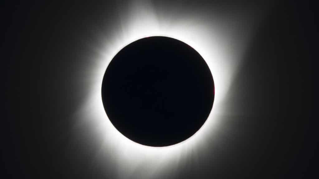 Mating, Galloping and Vocalizing: Animal Behavior During Eclipses ...